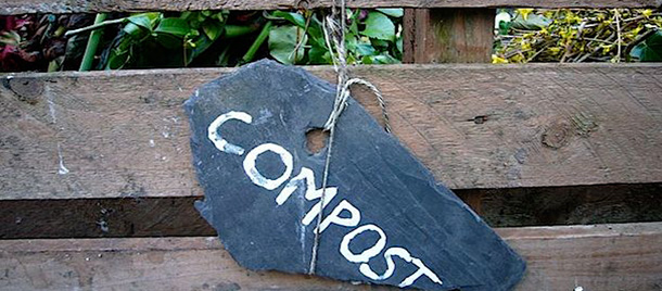 4 At-Home Food Waste Solutions |Organic Spa Magazine